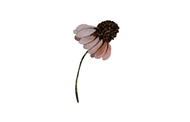 Grief + Adaptation to Loss - Center for Prolonged Grief