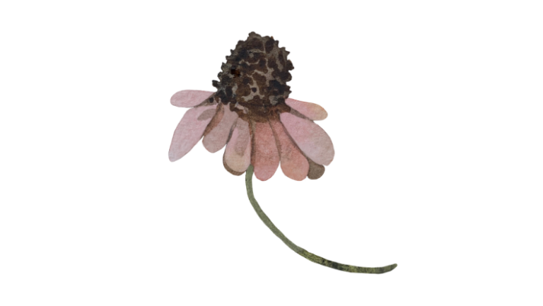 Grief + Adaptation to Loss - Center for Prolonged Grief